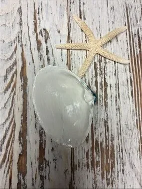 Hand Crafted | Accents | Handpainted Seashell Fish Decor Coastal Beach ...